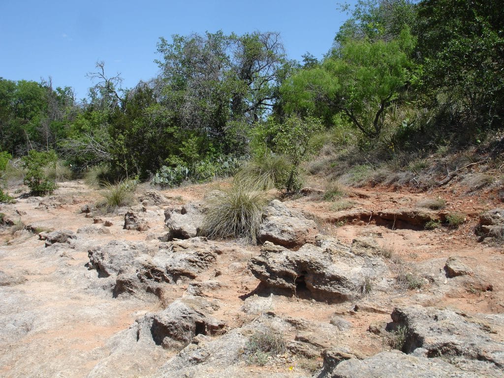 Fredericksburg Nature Center | Vista Loop Trail